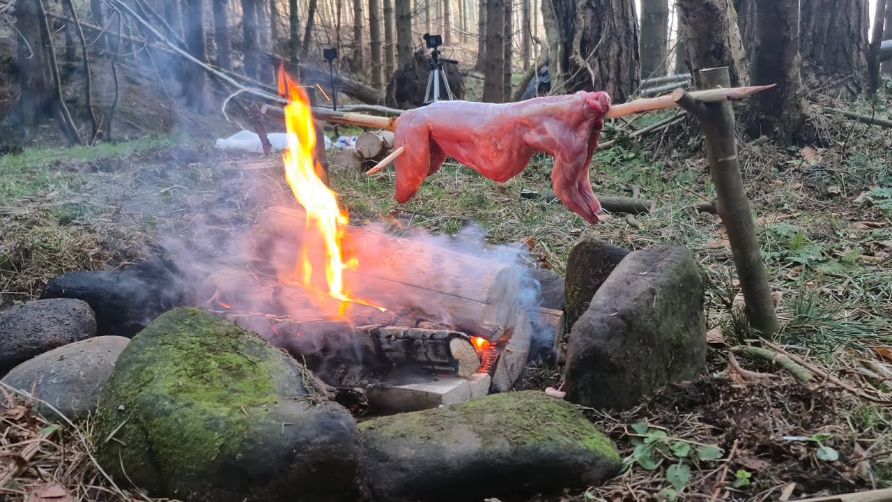 Spit roasting rabbit over a camp fire in the woods. Wild camp ...