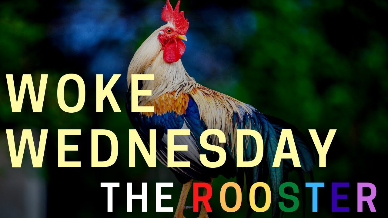 Woke Wednesday The Rooster - YouTube