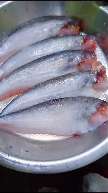 Pabda fish fry #pabda#ytshort - YouTube