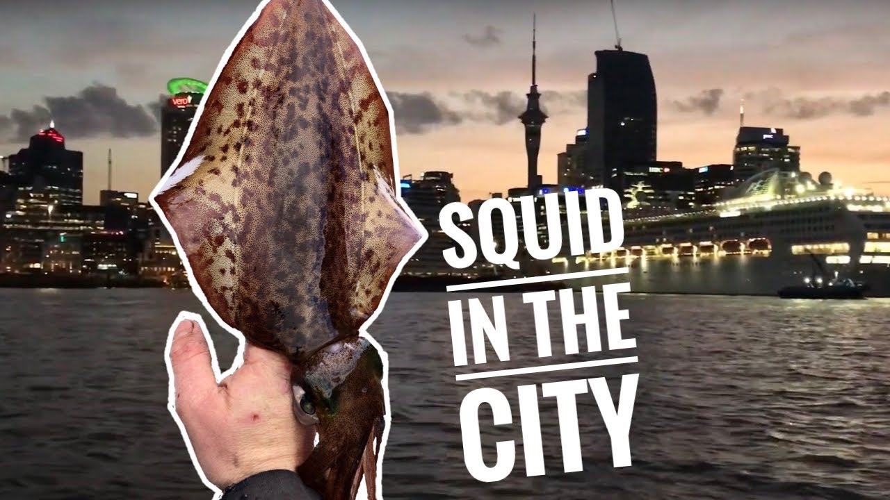 Auckland central CBD squidding. Eging for squid Nz - YouTube