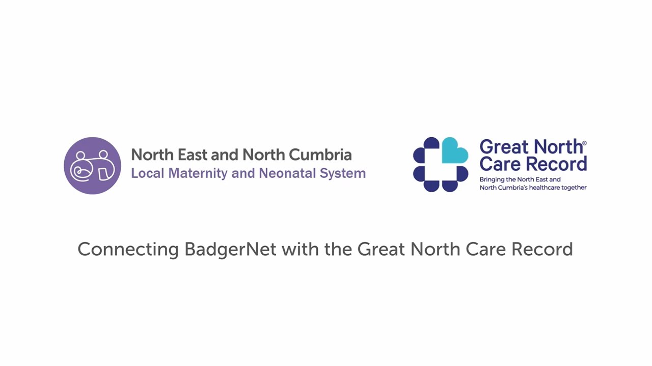 Connecting BadgerNet with the Great North Care Record - Short Version ...