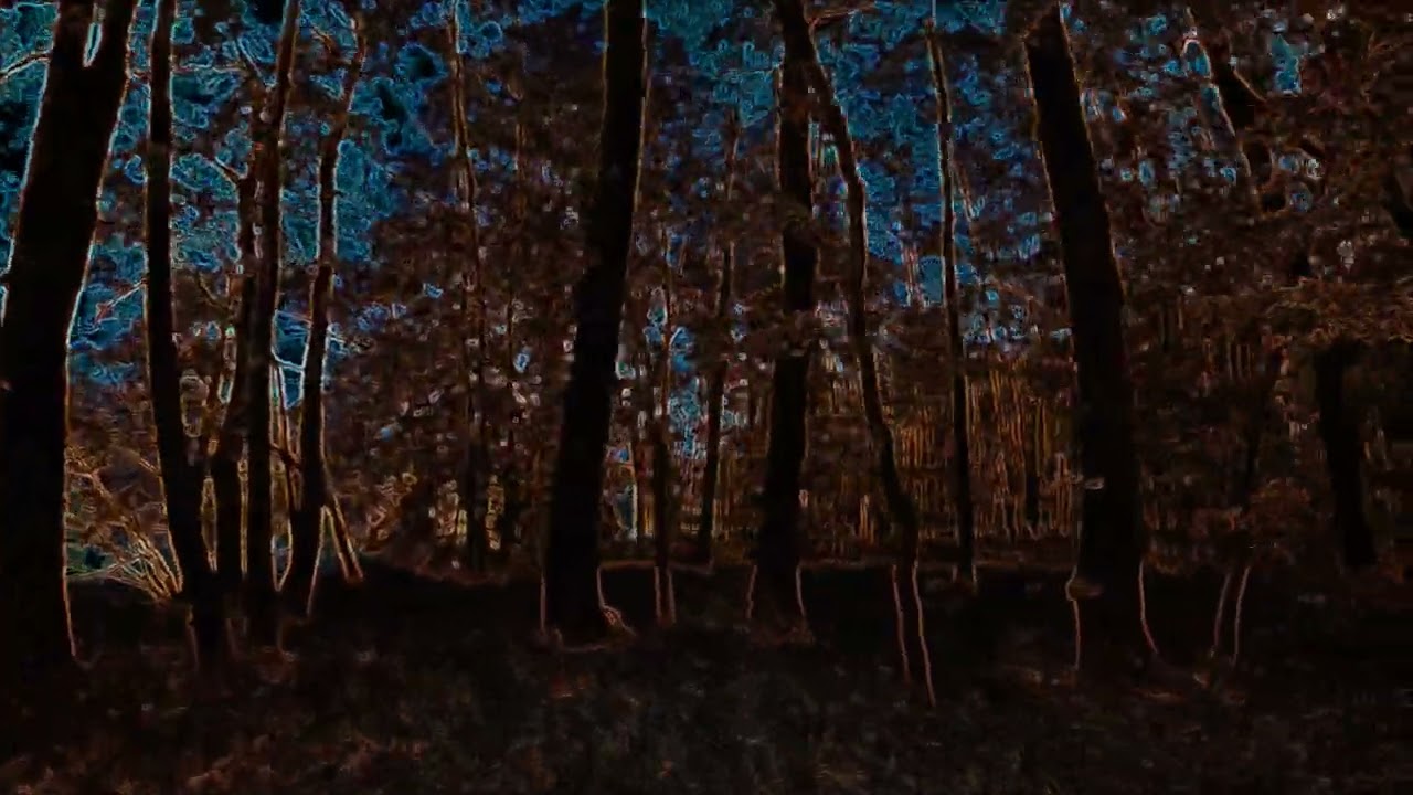 The Predator Theme - YouTube