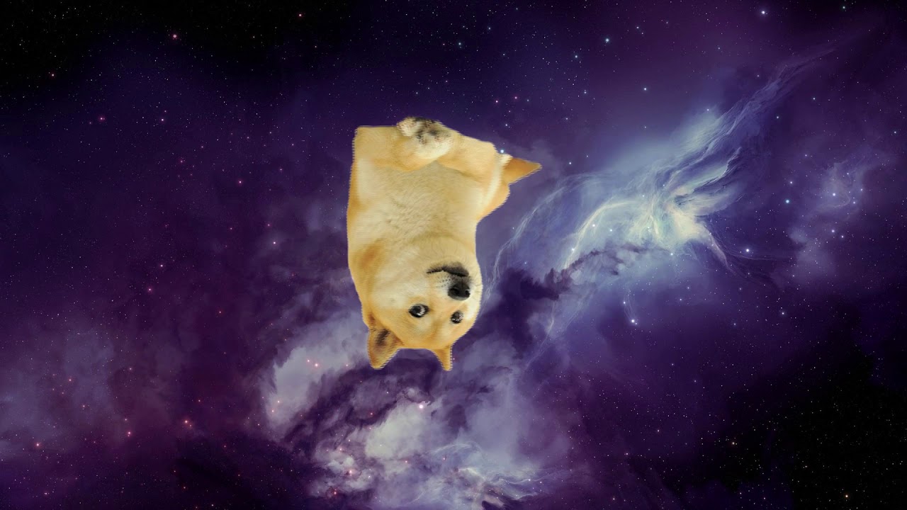 doge spinning - YouTube