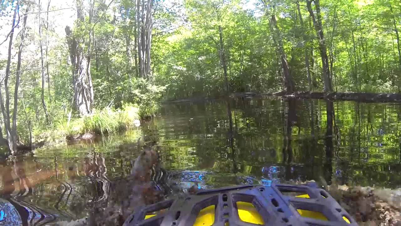 Zillas vs Mega Mayhems - YouTube