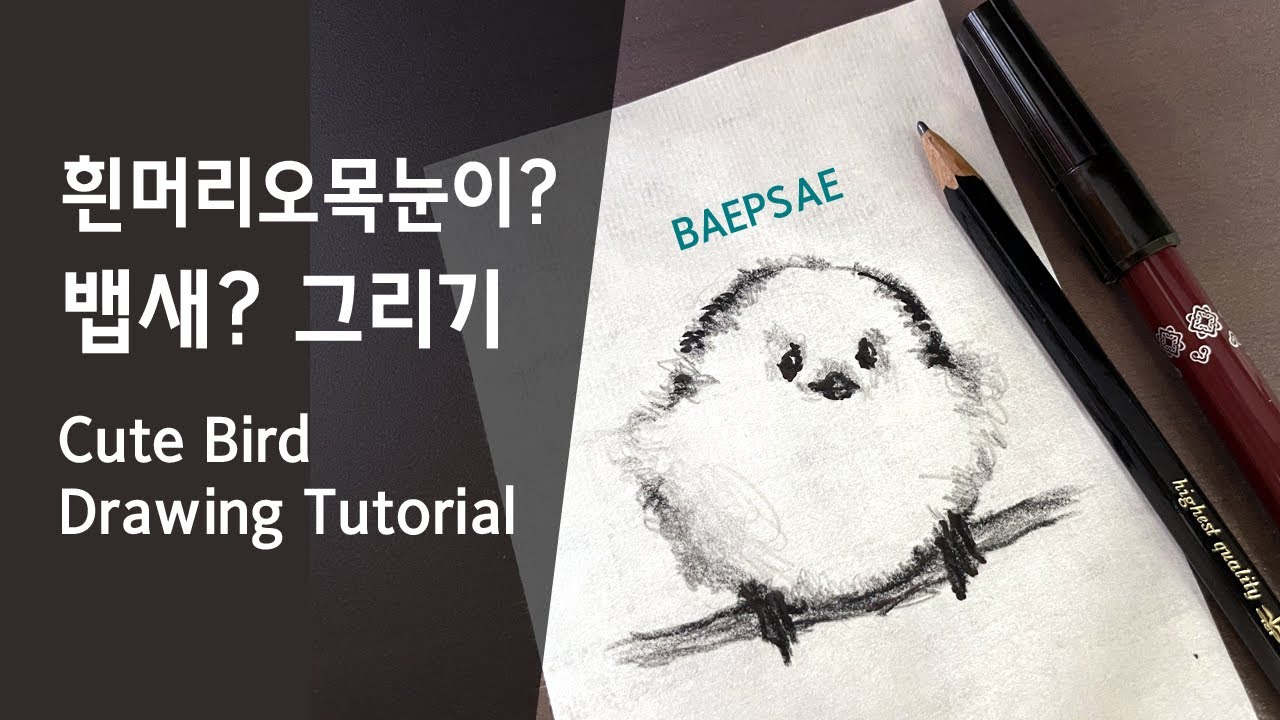 흰머리오목눈이? 뱁새? 그리기 | Cute Bird Drawing Tutorial-BTS BAEPSAE - YouTube
