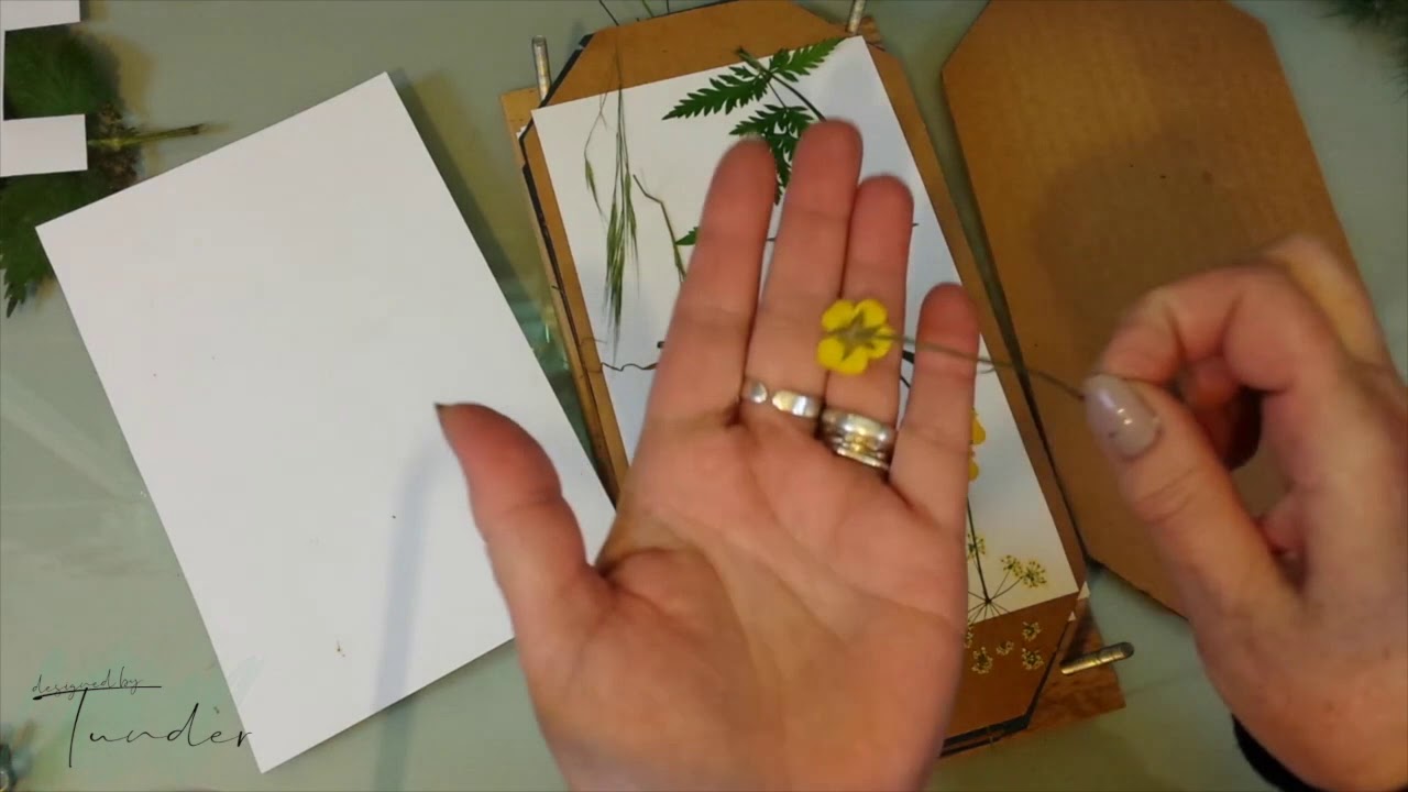How To Laminate Pressed Flowers At Home show And Tell YouTube how-to-laminate-pressed-flowers-at-home-show-and-tell-youtube