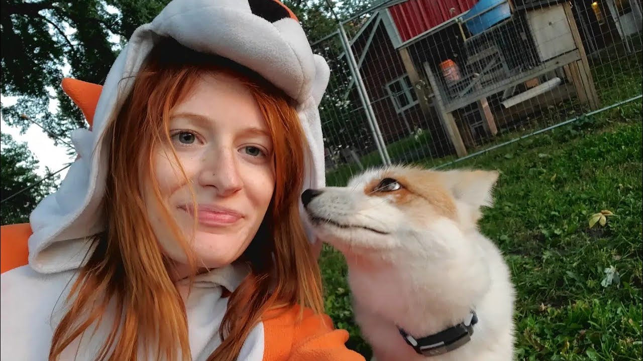Jagger Fox wishes me a happy hump day....literally - YouTube