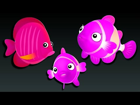 Fish Animation🐡 |Fishes💤| - YouTube