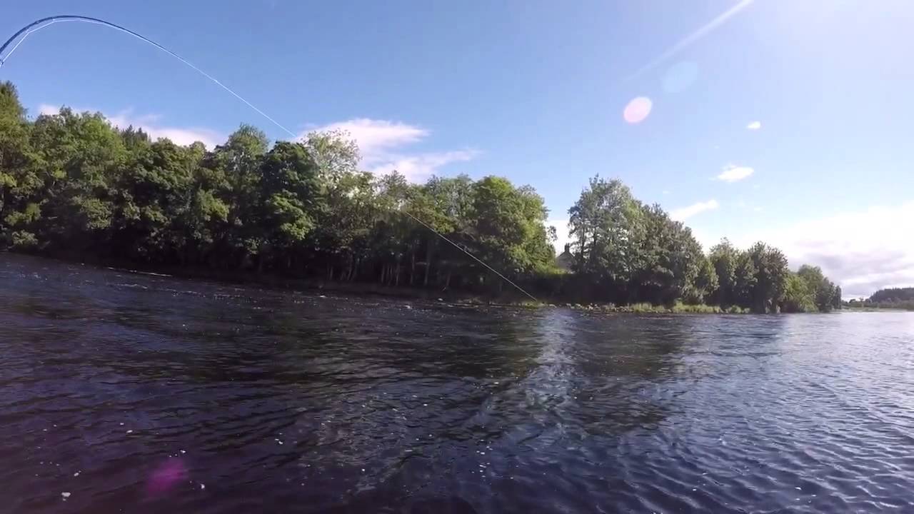First Grayling caught on The River Tummel - YouTube