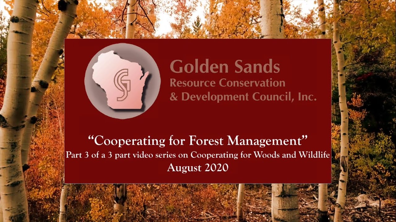 Cooperating for Forest Management - YouTube