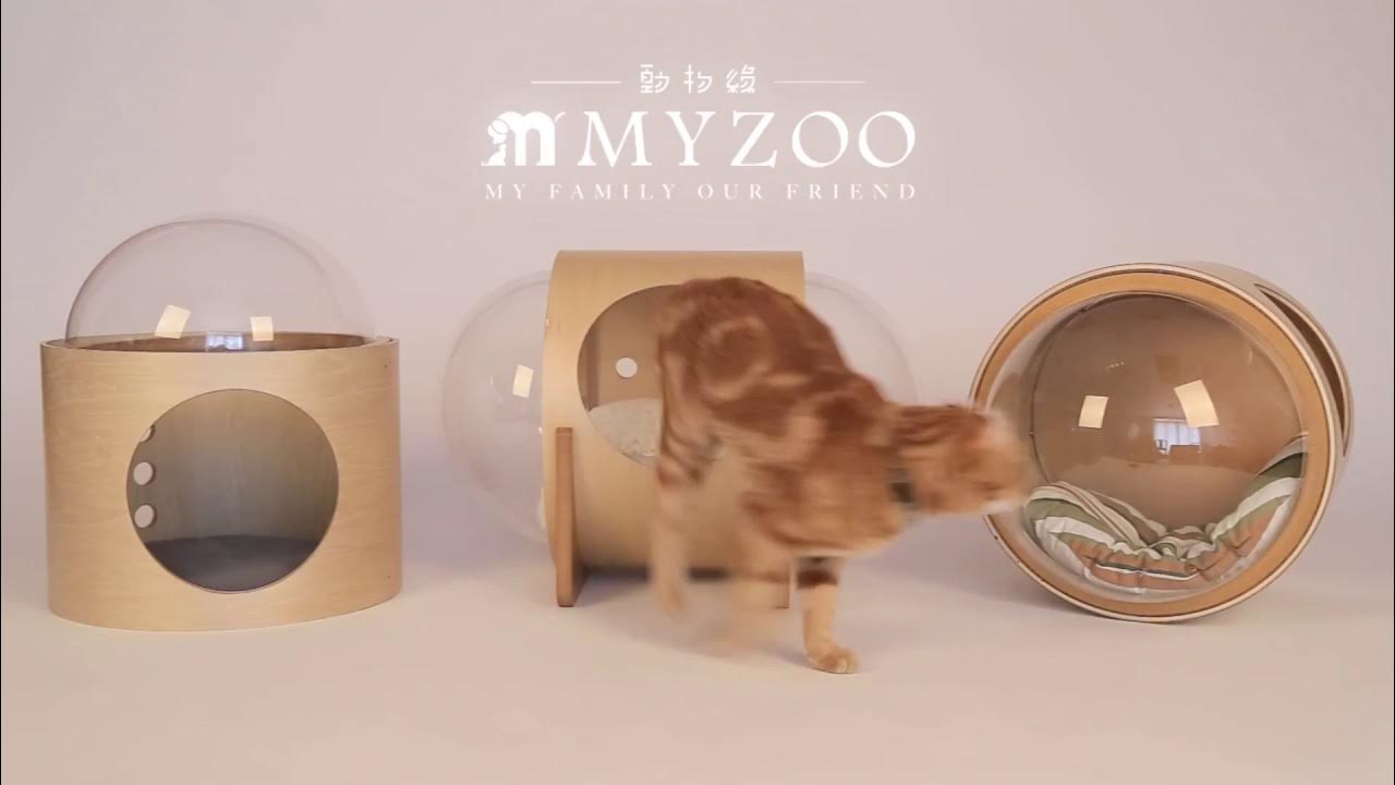 MYZOO Space plan太空計畫－alpha、beta、gamma - YouTube