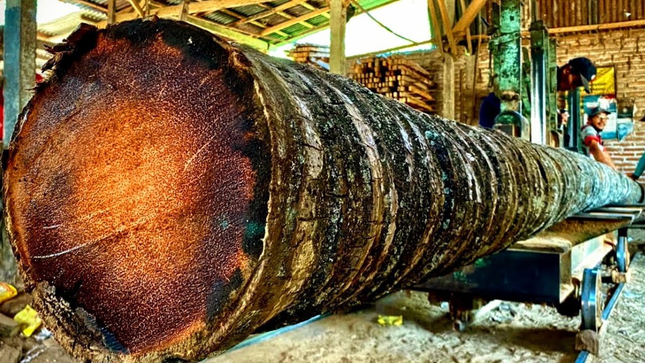 This is the longest form of coconut wood and is as hard as iron - YouTube