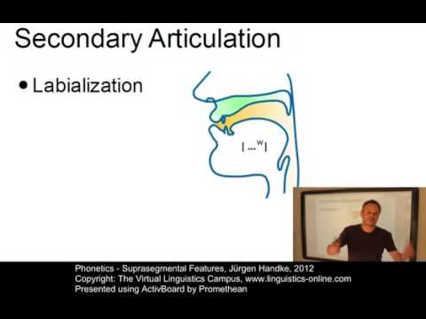 Phonetics Suprasegmental Features - YouTube