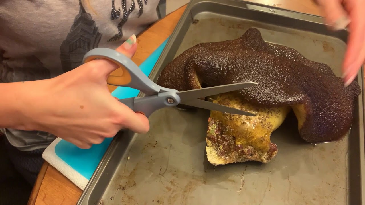 Reefing with Nicole - Toadstool Fragging Part 1 - YouTube