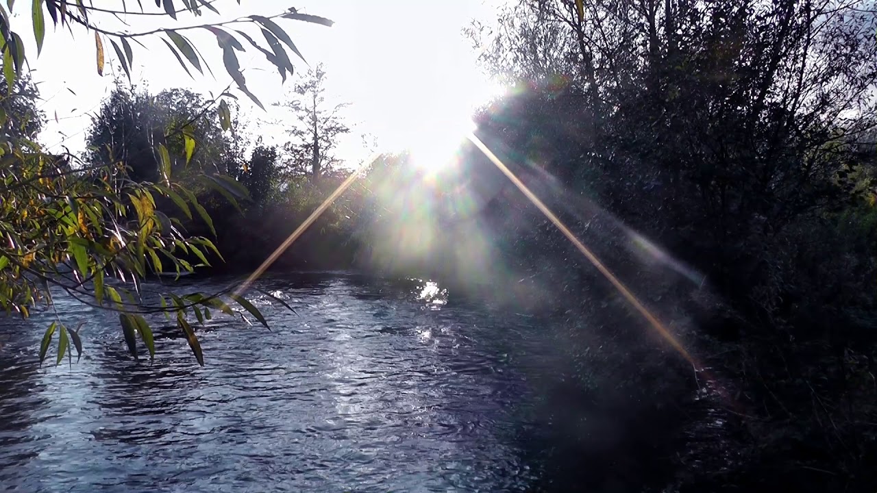 Be Not Afeard - from The Tempest - By William Shakespeare - Read by ...