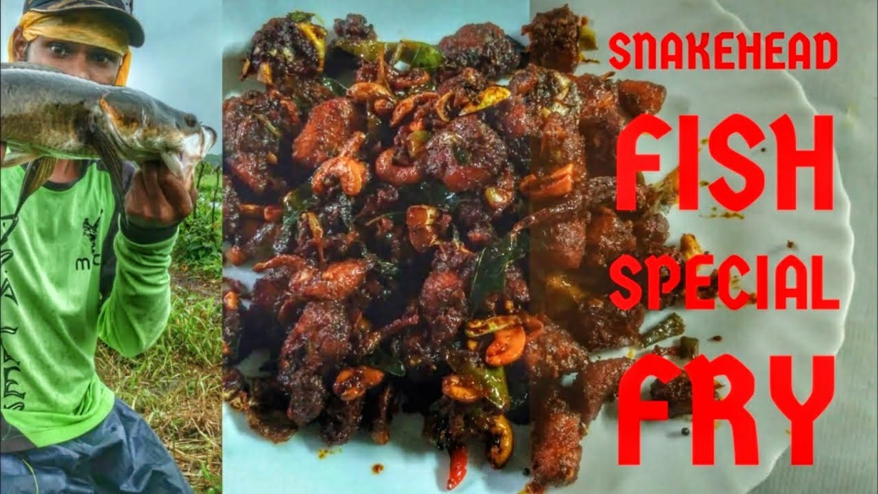 Manjali Special Fish Fry - YouTube