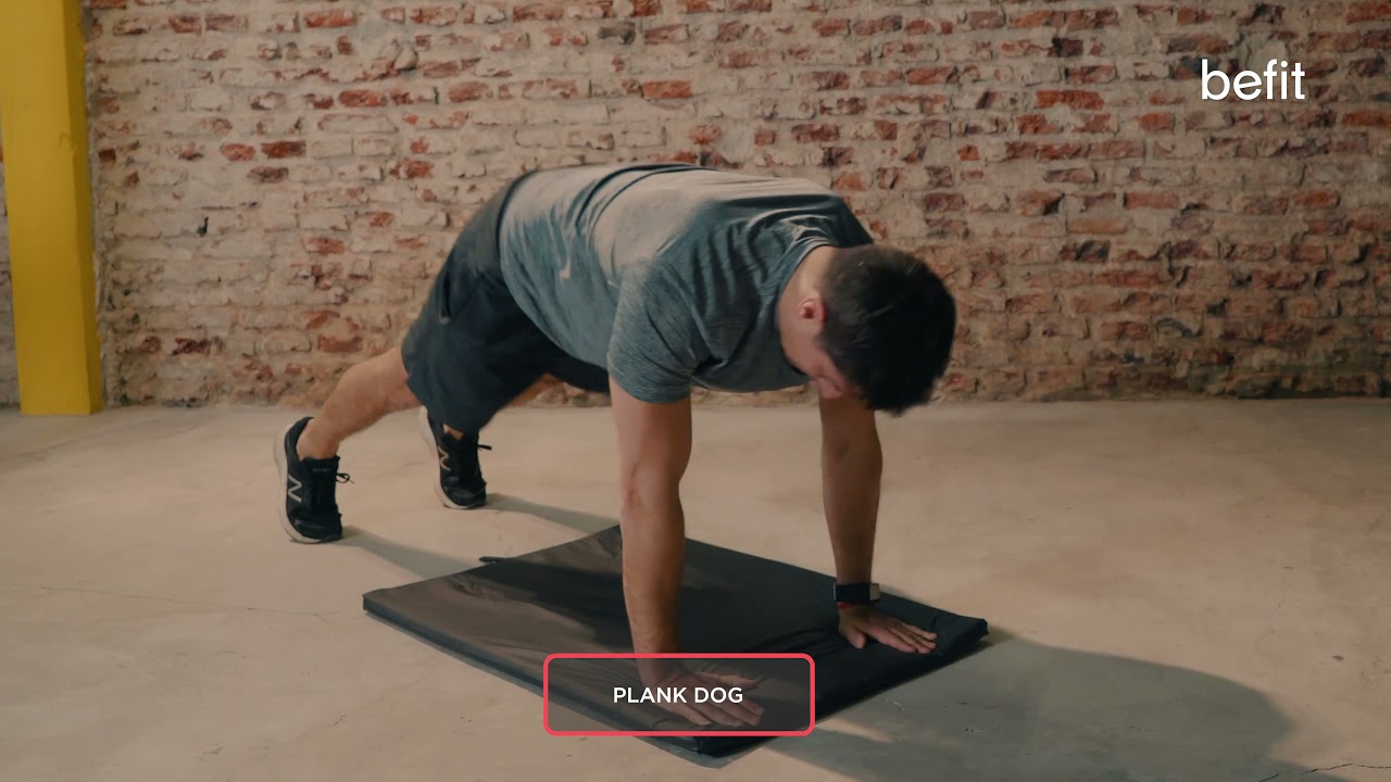 Plank Dog | Ejercicio para core en un minuto - YouTube