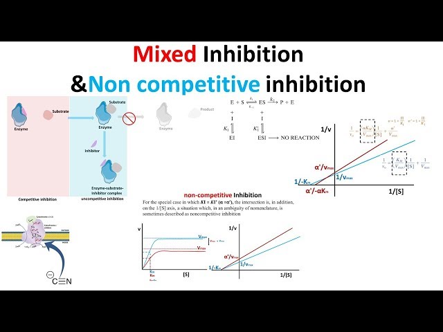Mixed Inhibitor