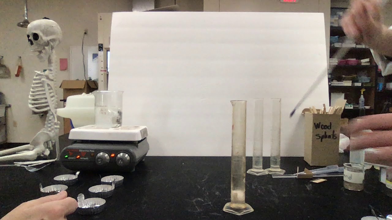Liver Lab- AP Biology - YouTube