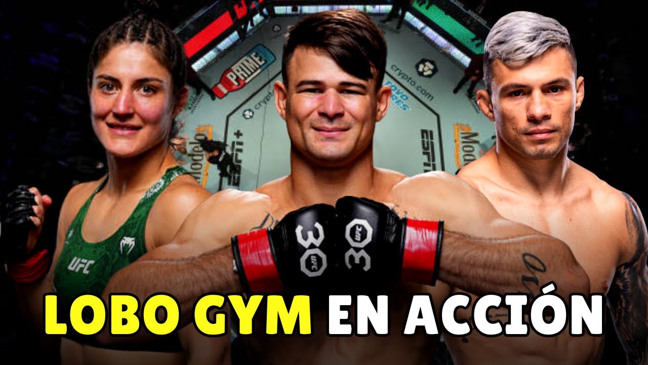 Diego Lopes, Loopy Godínez y Alessandro Costa, los REPRESENTANTES del ...