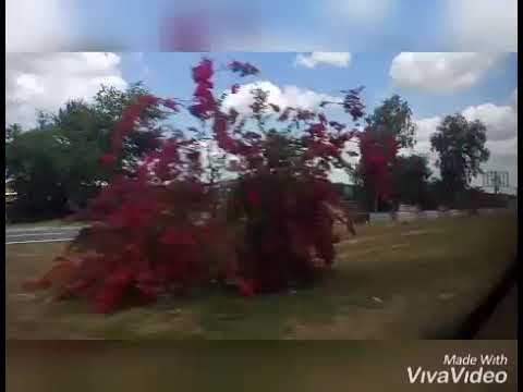 October 6, 2020 - YouTube