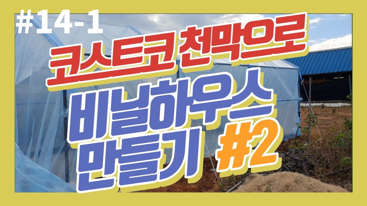 은퇴용 농장만들기 ㅣ적은 돈으로 시작 ㅣ코스트코 천막ㅣ비닐하우스ㅣ 코스트코 차량용 천막ㅣ코스트코 천막 셀프 ㅣ 비닐하우스 셀프