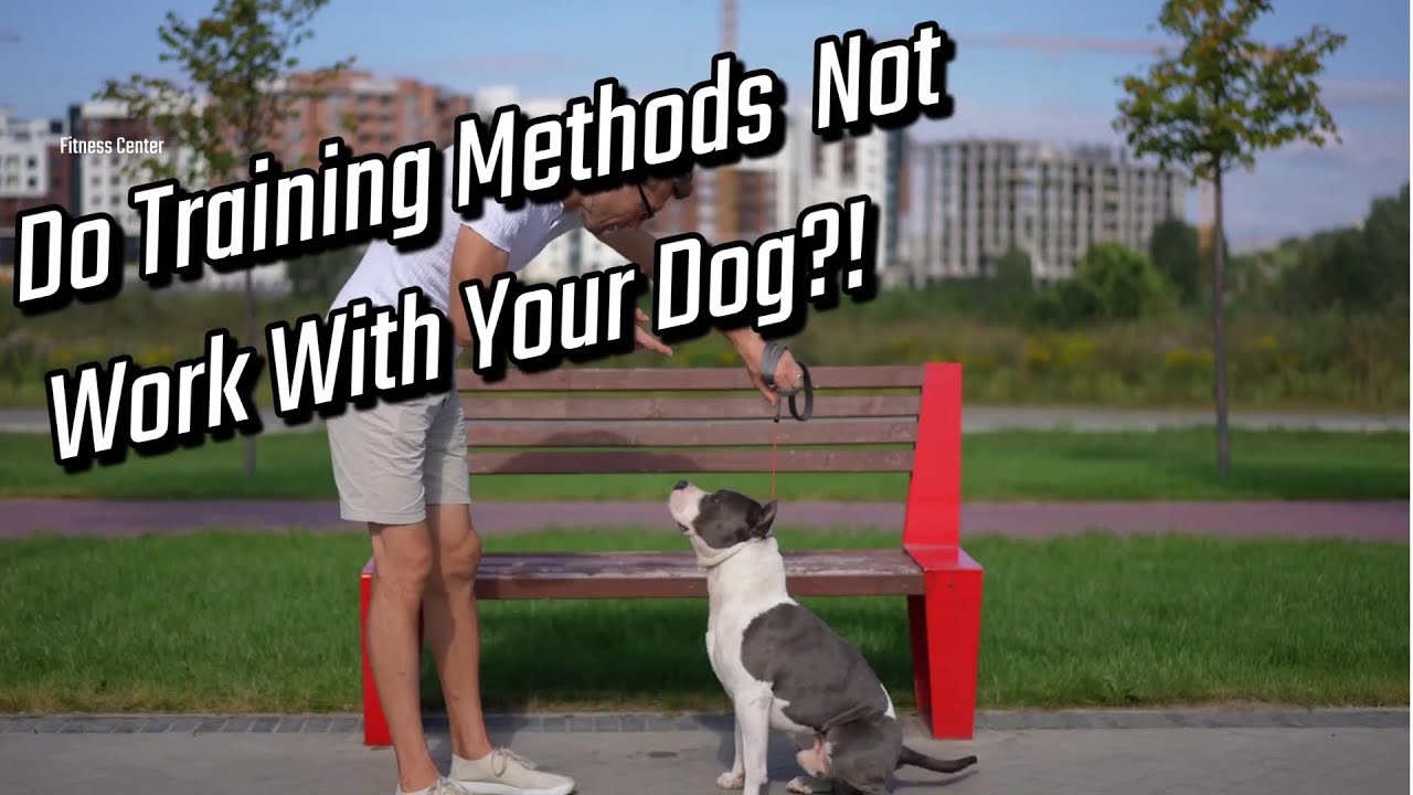 Book a session with Tony Nila! #dogtraining #puppytraining #dogbehaviorist #dogtrainingtips ...