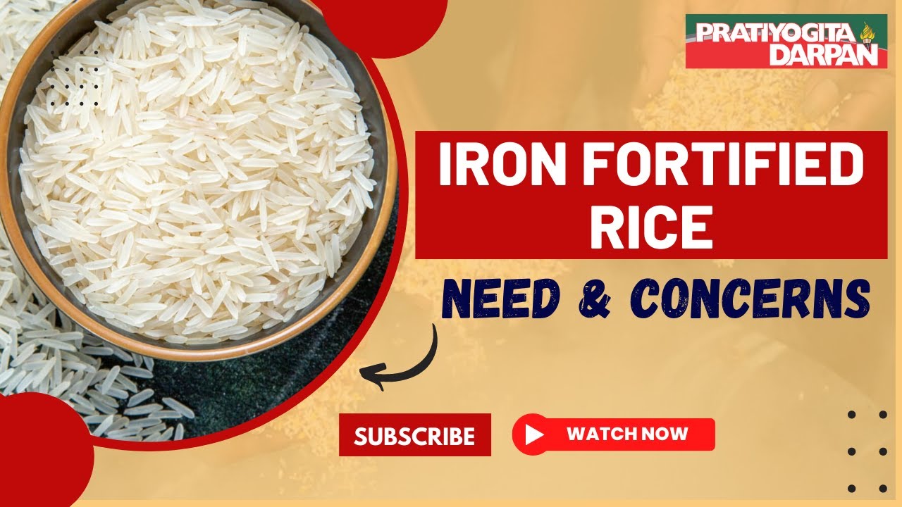 Iron Fortified Rice to Address Iron Deficiency - YouTube