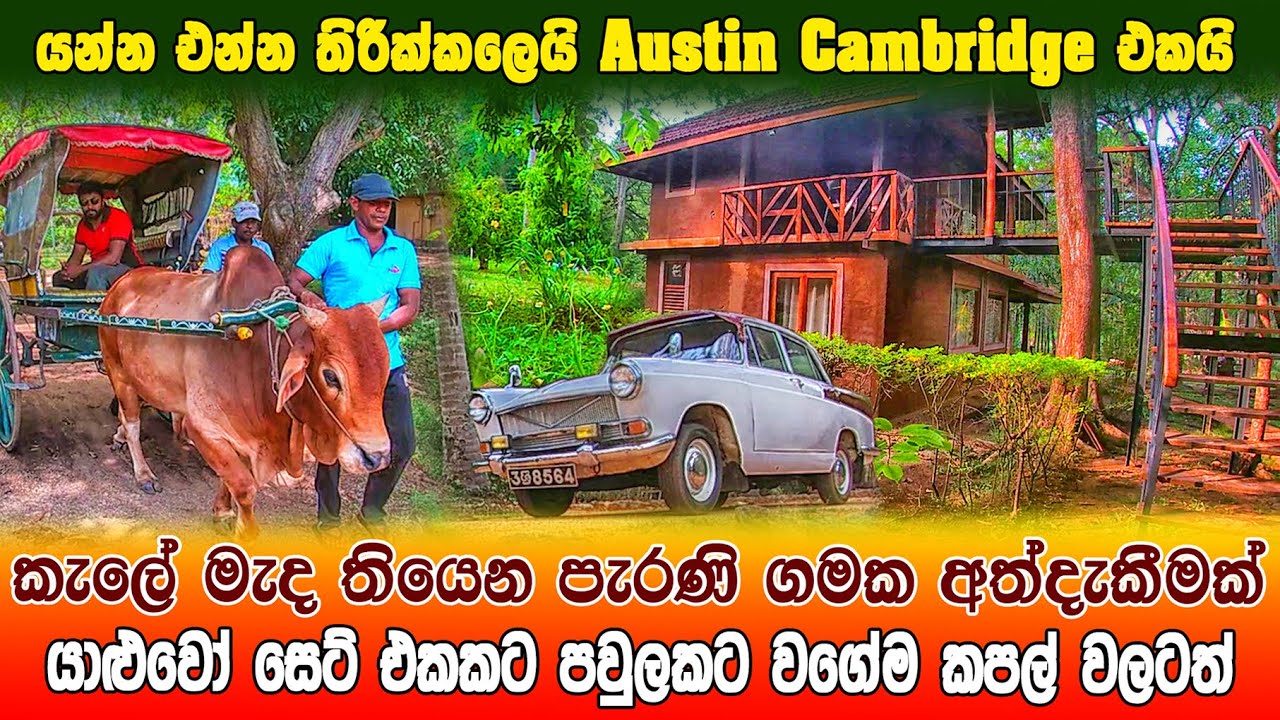 මෙතනට ආවොත් යන්න එන්න තියෙන්නේ තිරික්කලේ | පැරණි ගමක අත්දැකීමක් විදින්න ...
