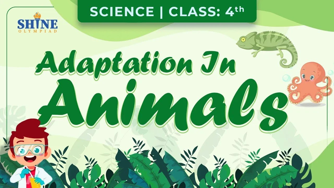 How Adaptation Work in Animals: Science Class 4 - YouTube