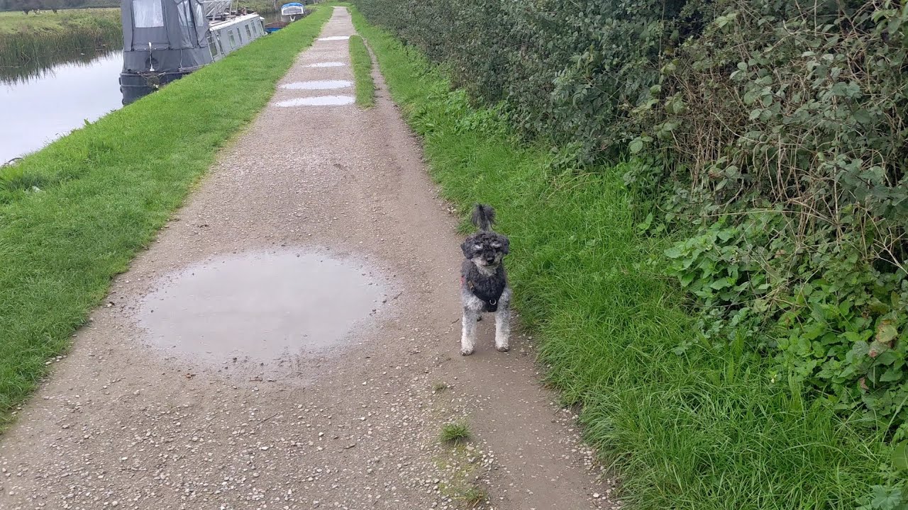Living on a Narrowboat - The path to...... - Day 284 - YouTube