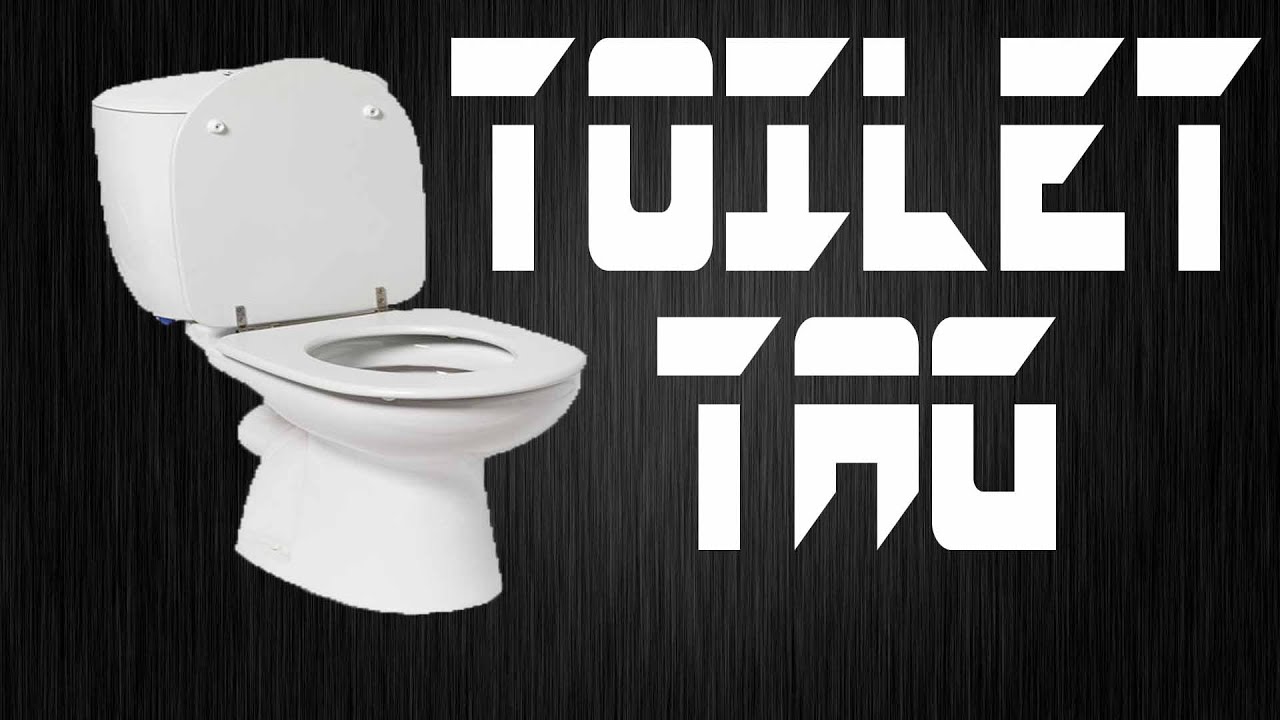 Toilet Tag Vlog 268 YouTube toilet-tag-vlog-268-youtube