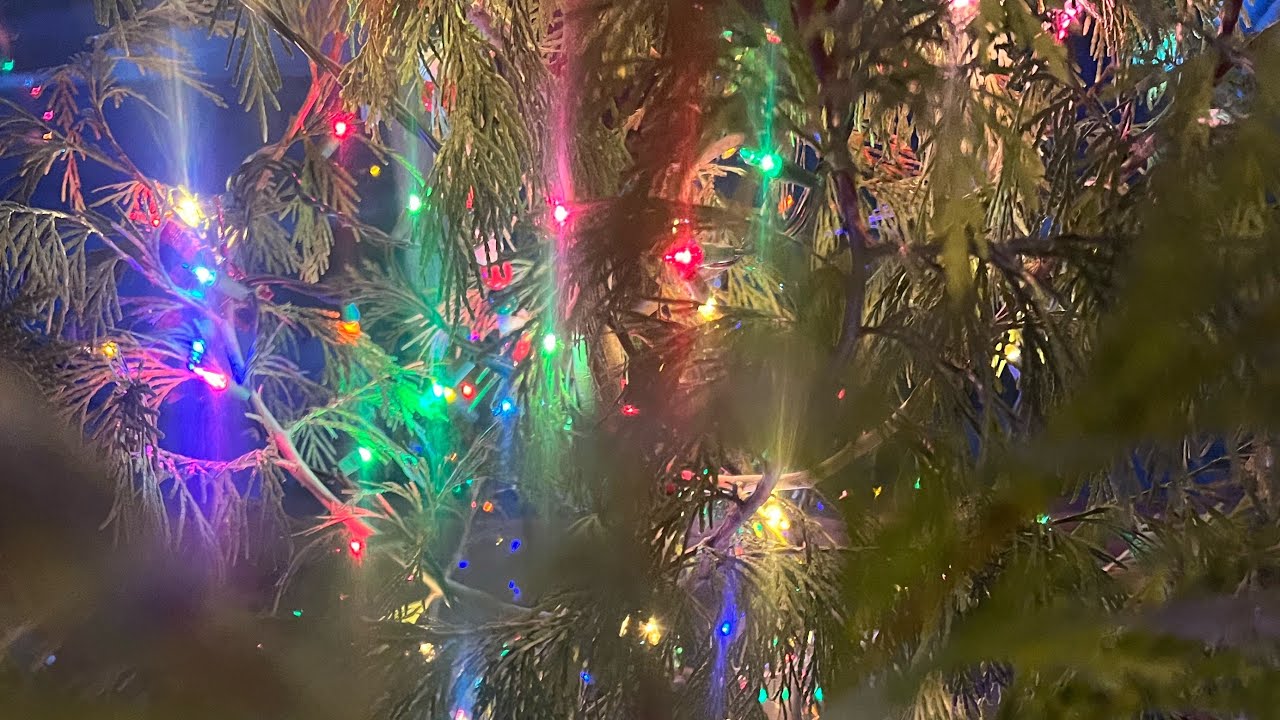 Whit Bits is live! Christmas Tree Lane in Turlock! - YouTube