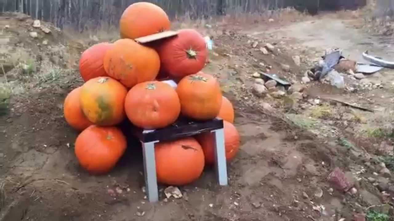 Blowing Up Pumpkins With Tannerite! - YouTube