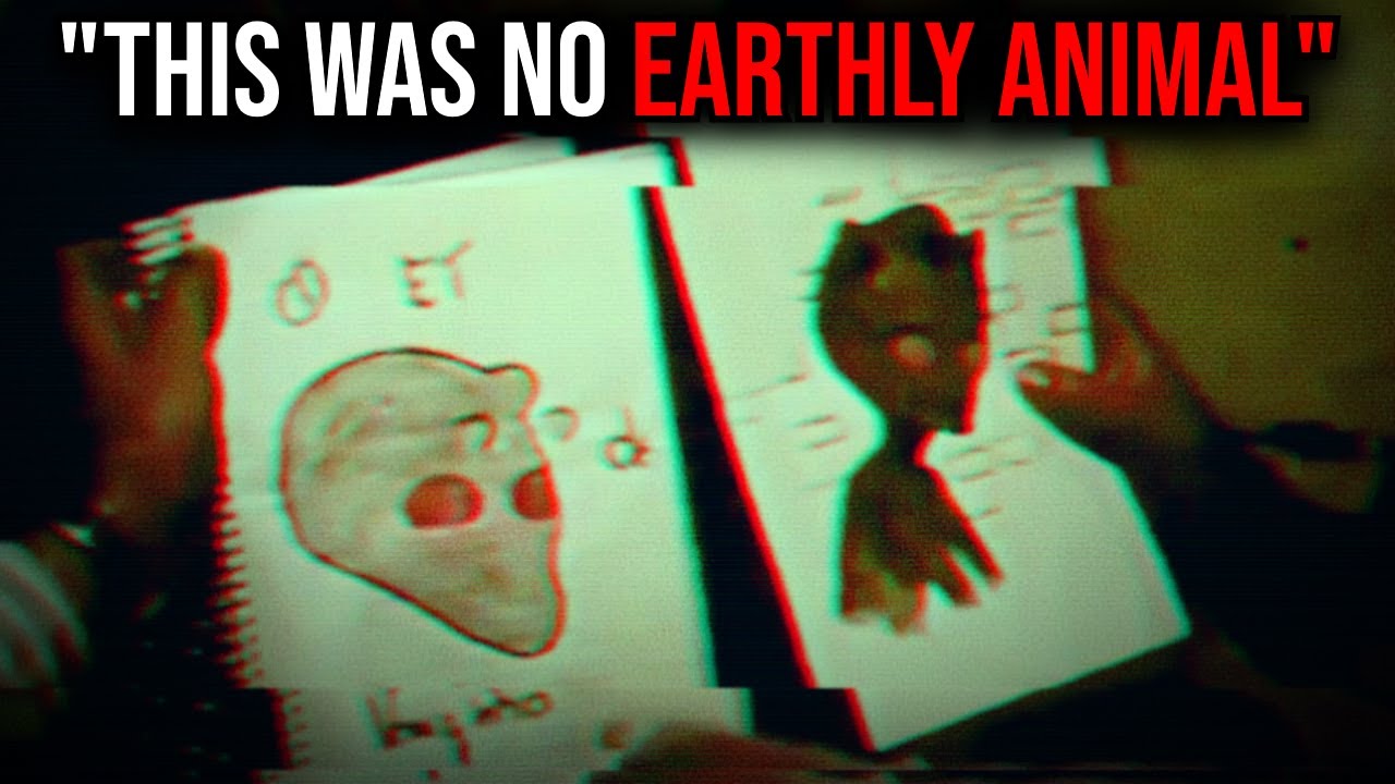 2 Cases of ALIEN ENCOUNTERS │Varginha Incident & Ariel School ...