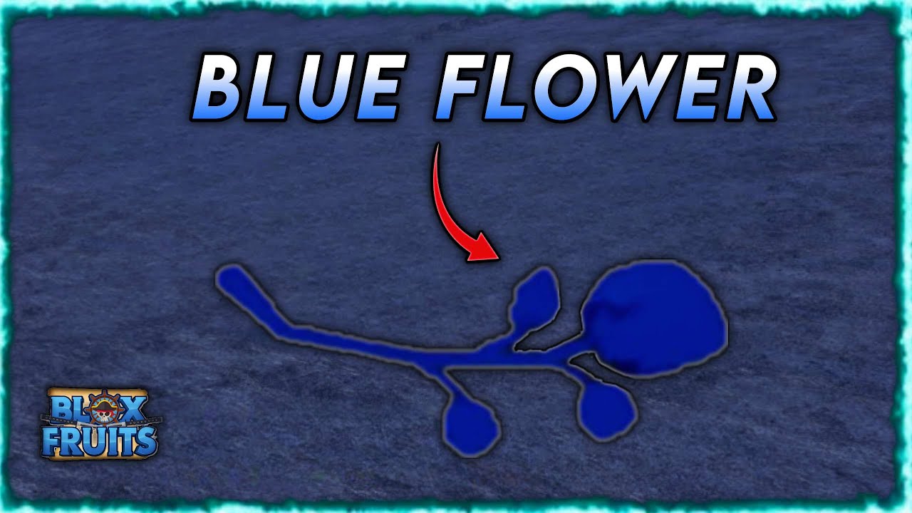 How To Get Blue Flower in Blox Fruits (EASY Guide!) || LegendPlayz ...