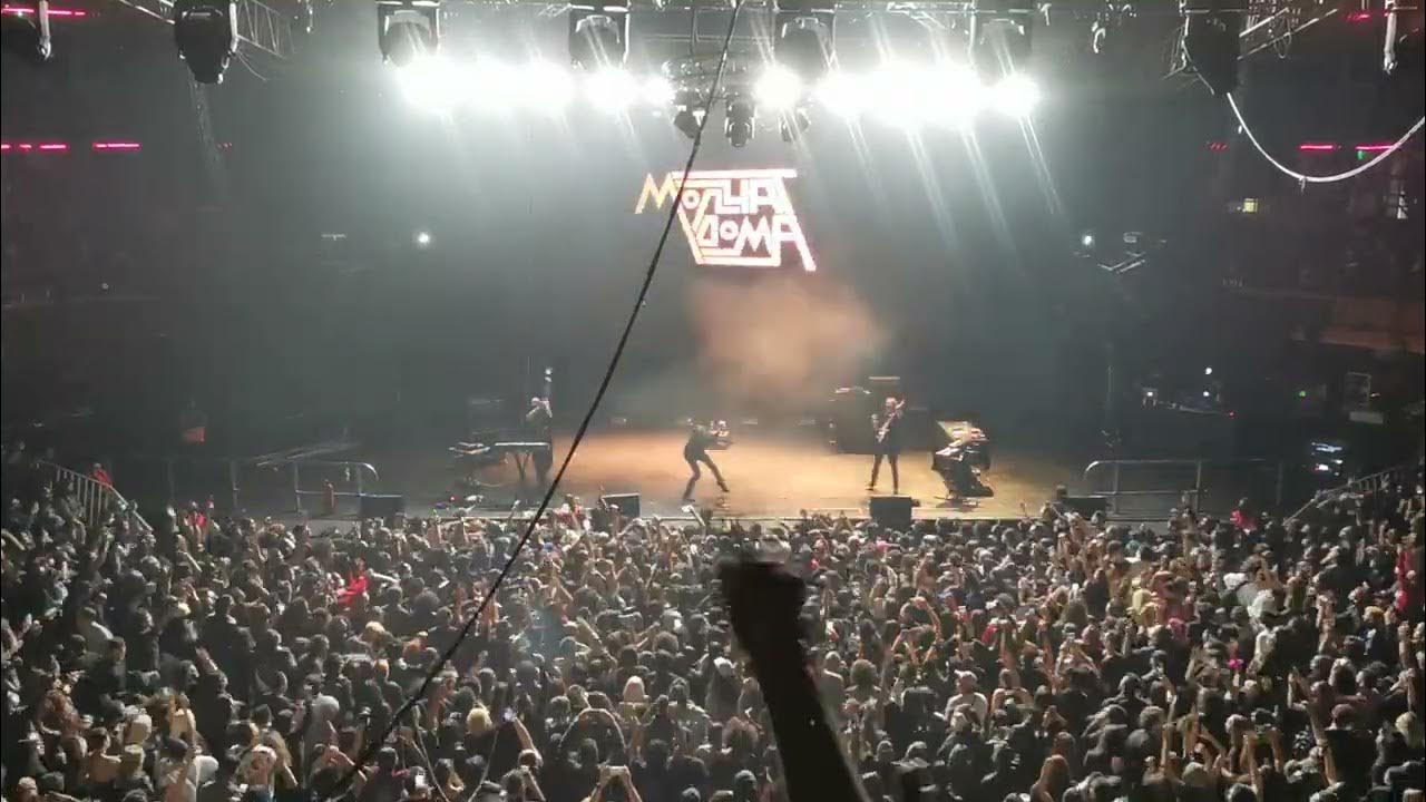 Molchat Doma - Sudno (Live in Chile, 2022) - YouTube