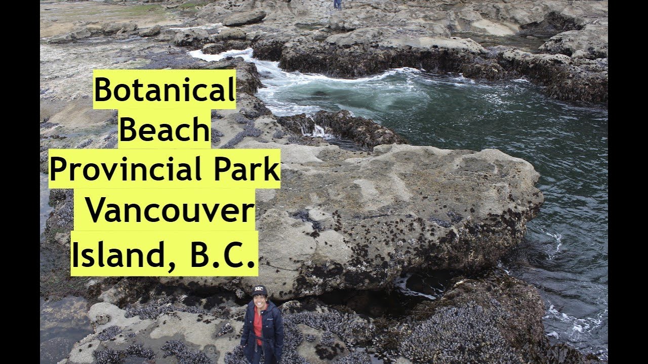 Stunning Botanical Beach Provincial Park | Vancouver Island | BC Canada ...