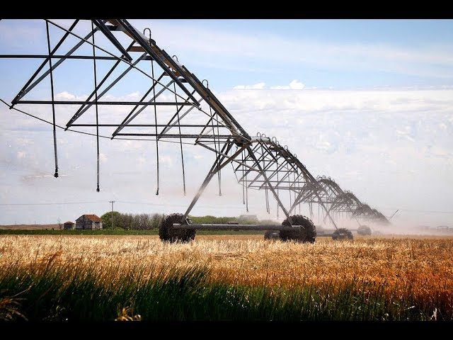 Large Scale Gravity Irrigation Systems