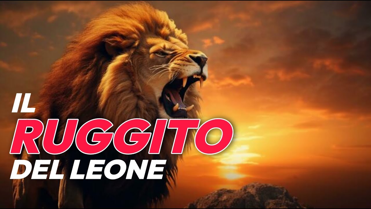 Il RUGGITO del LEONE - Tra Potenza, Coraggio e Dominio. - YouTube