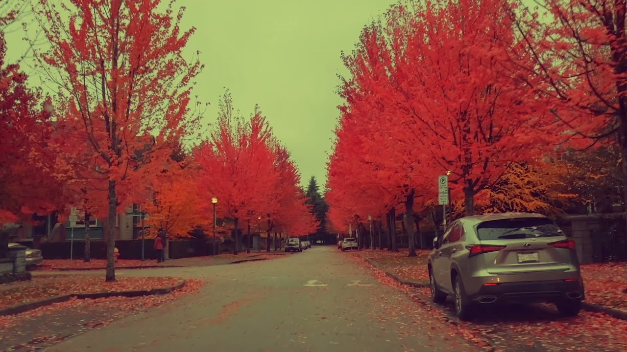 Fall at UBC - YouTube