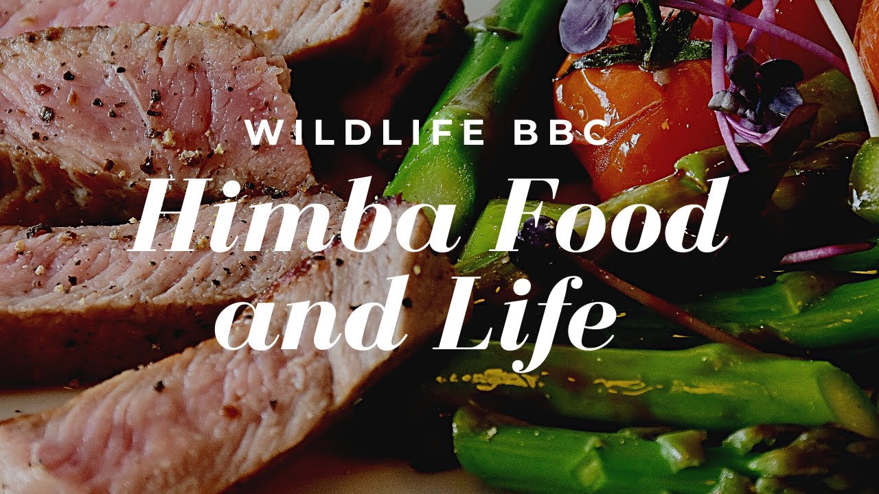 RARE Namibian Tribal Food! Himba Food and Life | wildlife BBC - YouTube