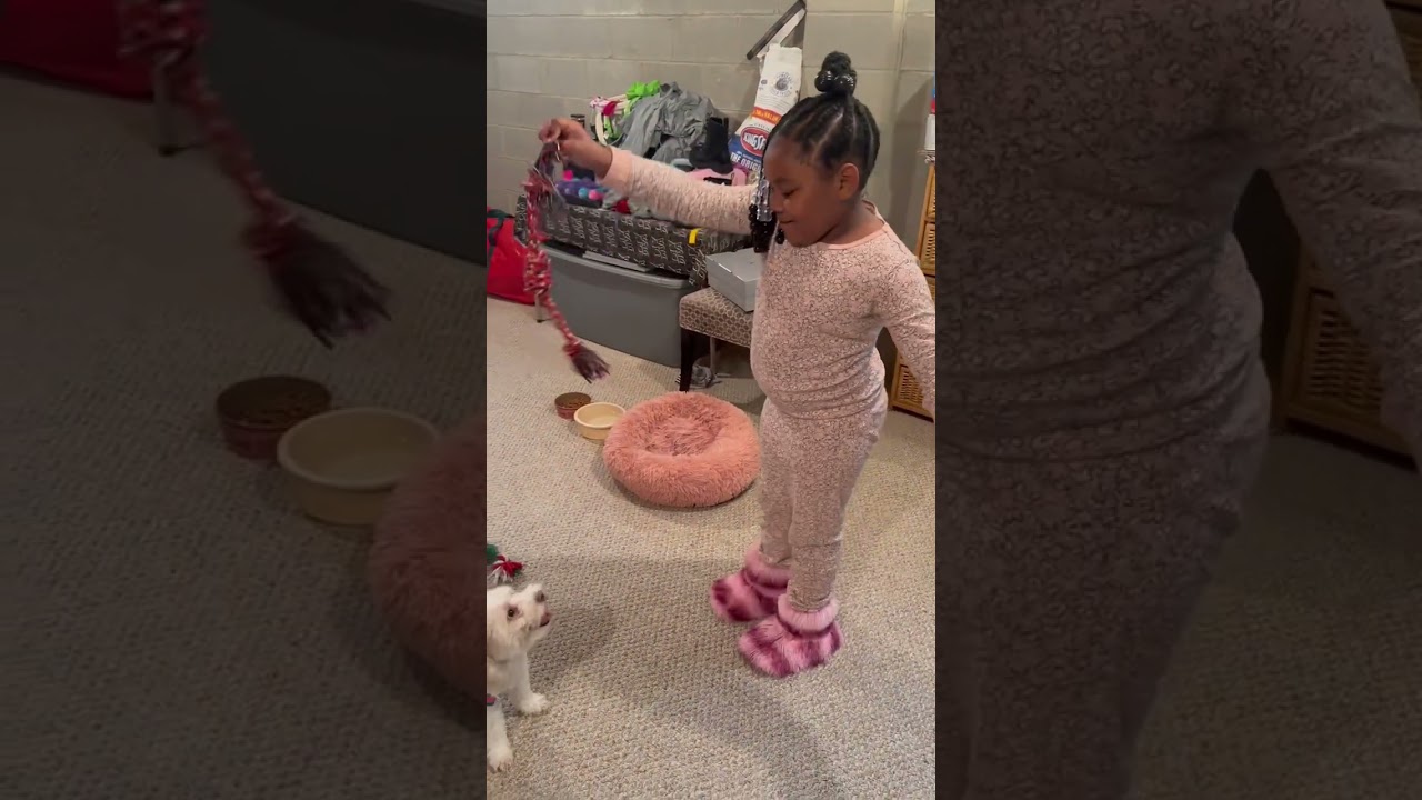 Play time with Ms Bella🐶 - YouTube