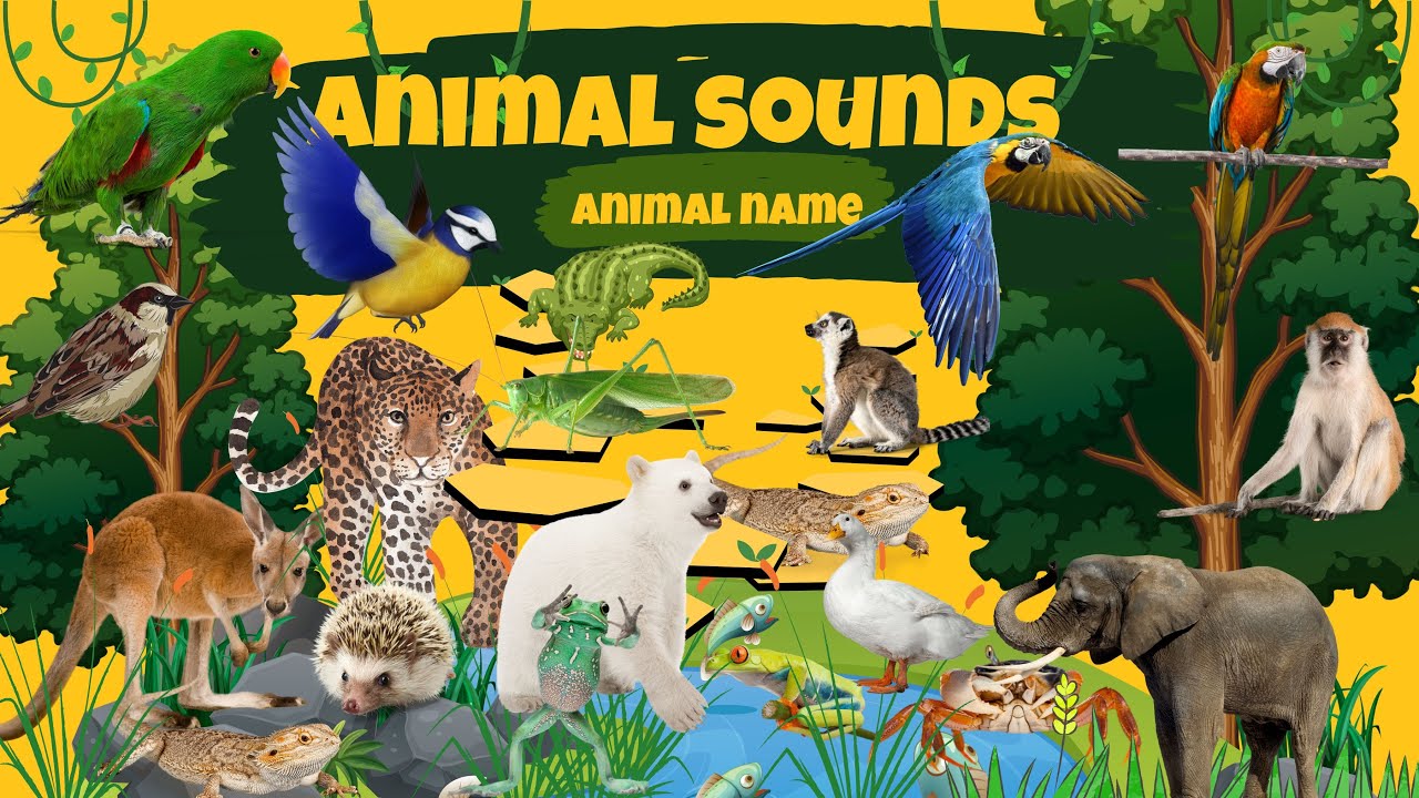 Animal sounds around us: Bear, Hedgehog, Rattlesnake, Skunk, Elephant ...