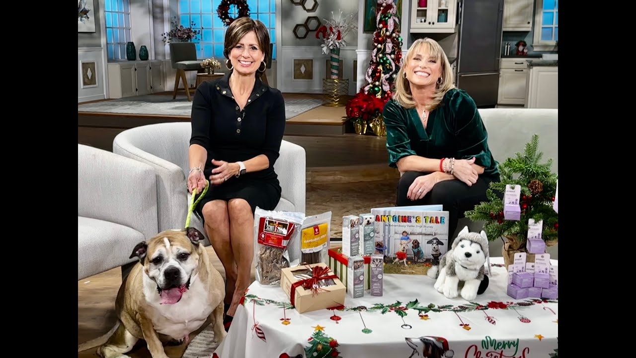 Best Pet Wellness Products 2026 | Kelly's Pet Picks on Daytime NBC ...