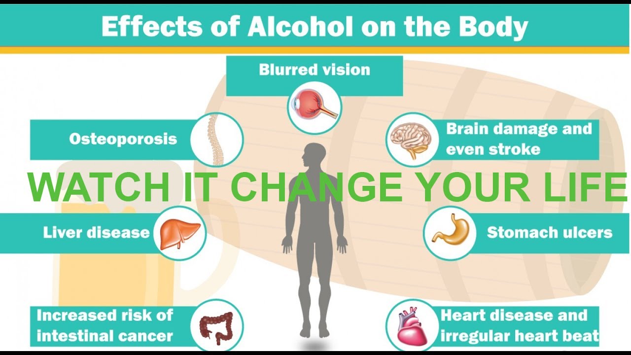 The Effects of Alcohol on Your Body - YouTube