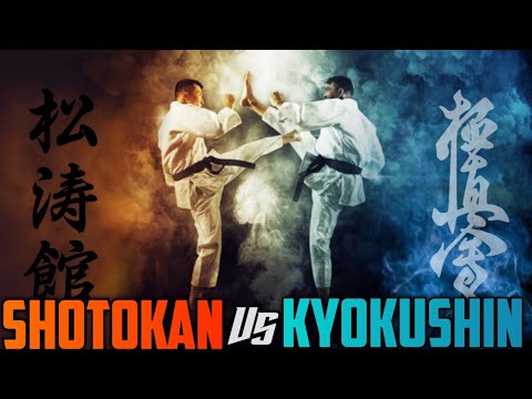 Karate na defesa pessoal: kyokushin vs shotokan qual melhor estilo de karate para auto defesa?