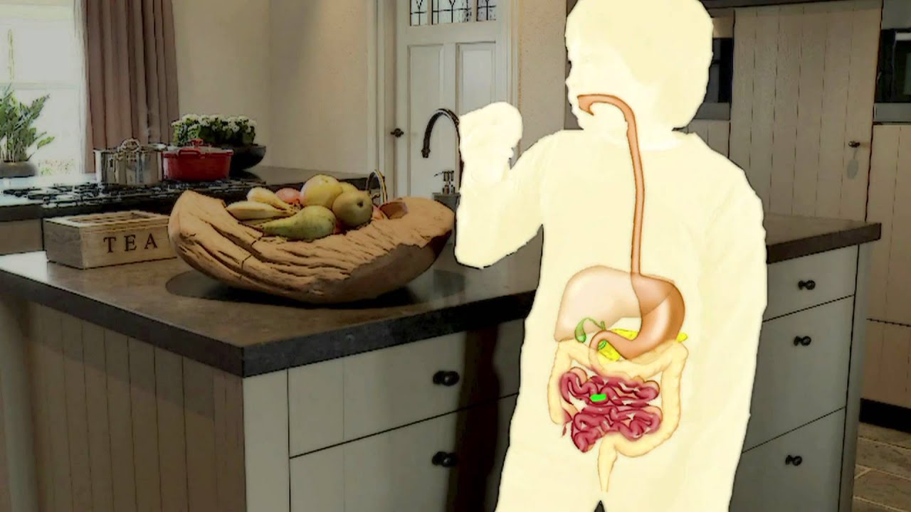 Onze spijsvertering - YouTube