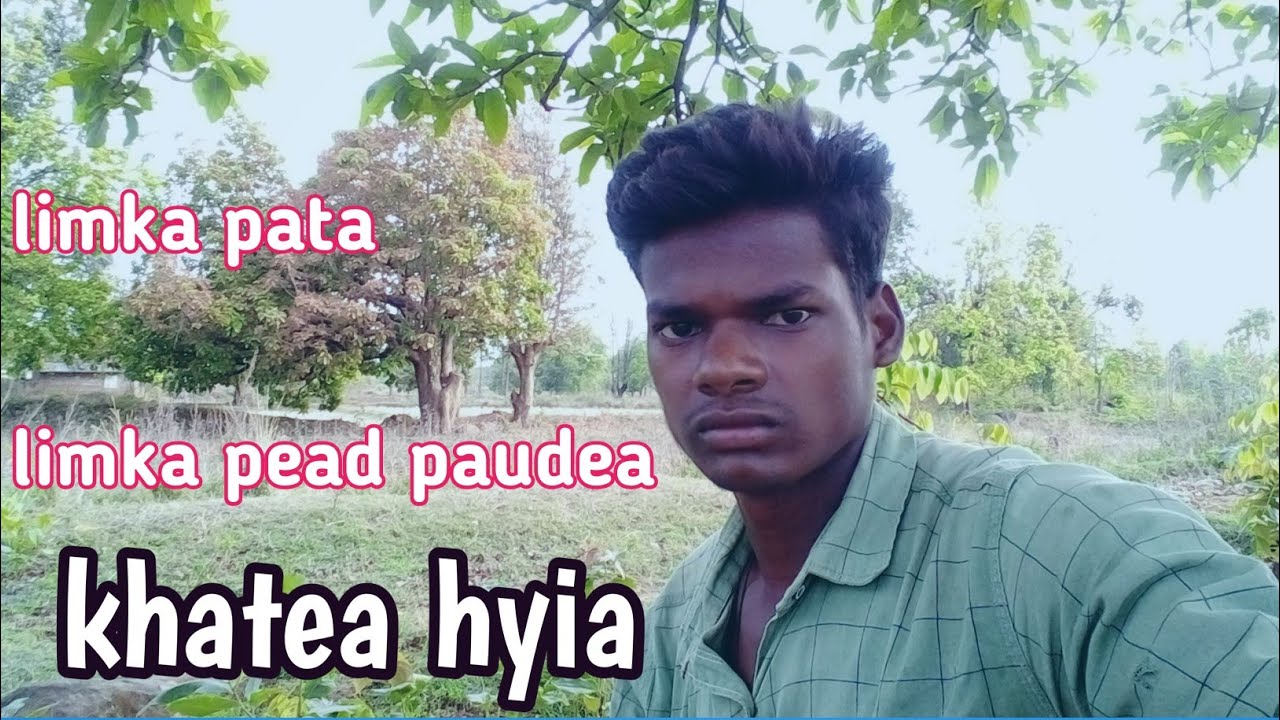 lim.ka pata limka peadpaudea lim gacha lim Ka phul - YouTube