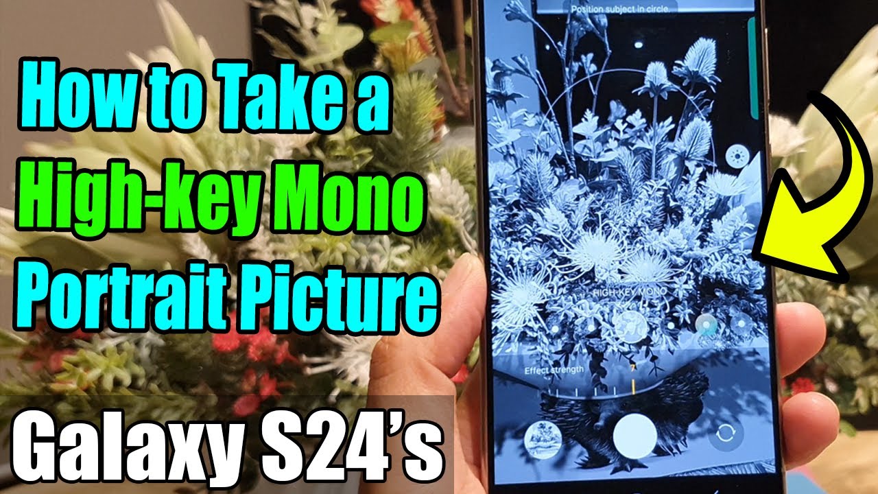 Galaxy S24/S24+/Ultra: How to Take a High-key Mono Portrait Picture ...